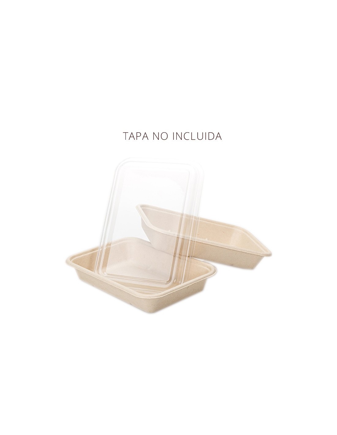 Envase caña de azúcar bagazo rectangular